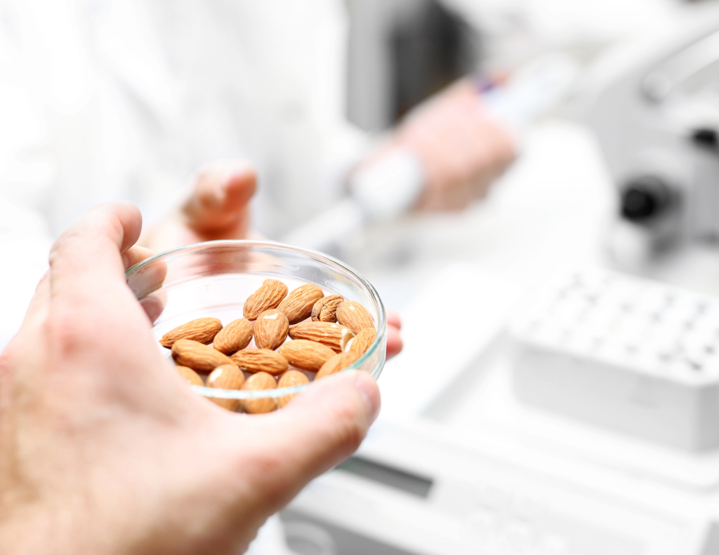 Food: Research to Processing